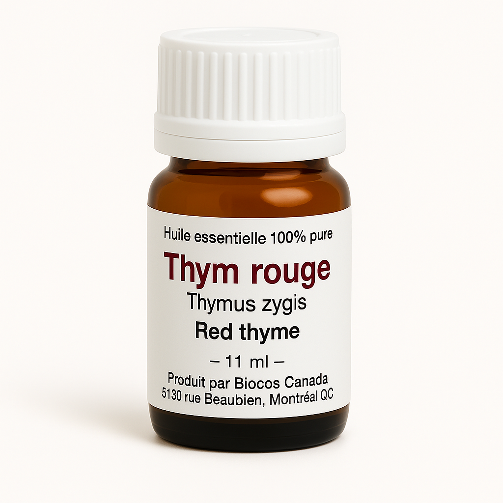 Thym rouge Huile essentielle Biologique - Thymus zygis – Biocos Canada